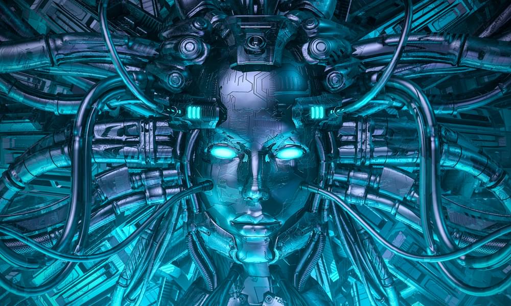 200 Premium FX Collection